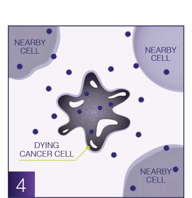 ENHERTU® (fam-trastuzumab deruxtecan-nxki) | About ENHERTU