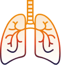 ENHERTU® (fam-trastuzumab deruxtecan-nxki) | Patient Site
